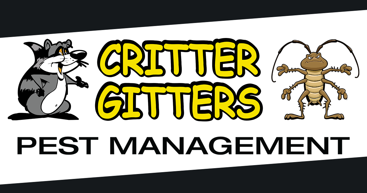 Wildlife Removal San Diego CA - Critter Gitters Animal Control